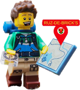 Ruz-de-Brick’s - Association LEGO